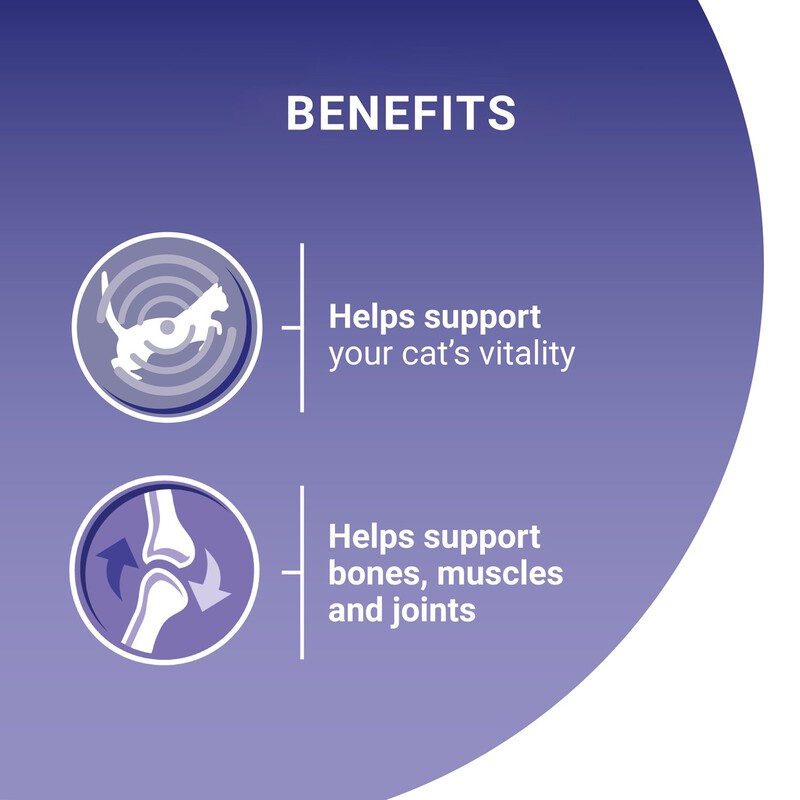 Purina One Mini Fillets Chicken And Beef Wet Cat Food - Morrisons ...