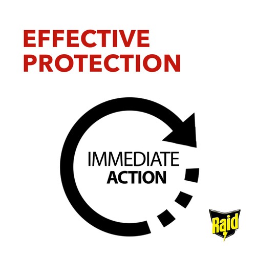 Raid Protector Fly Wasp & Mosquito Killer - Morrisons Online Groceries ...