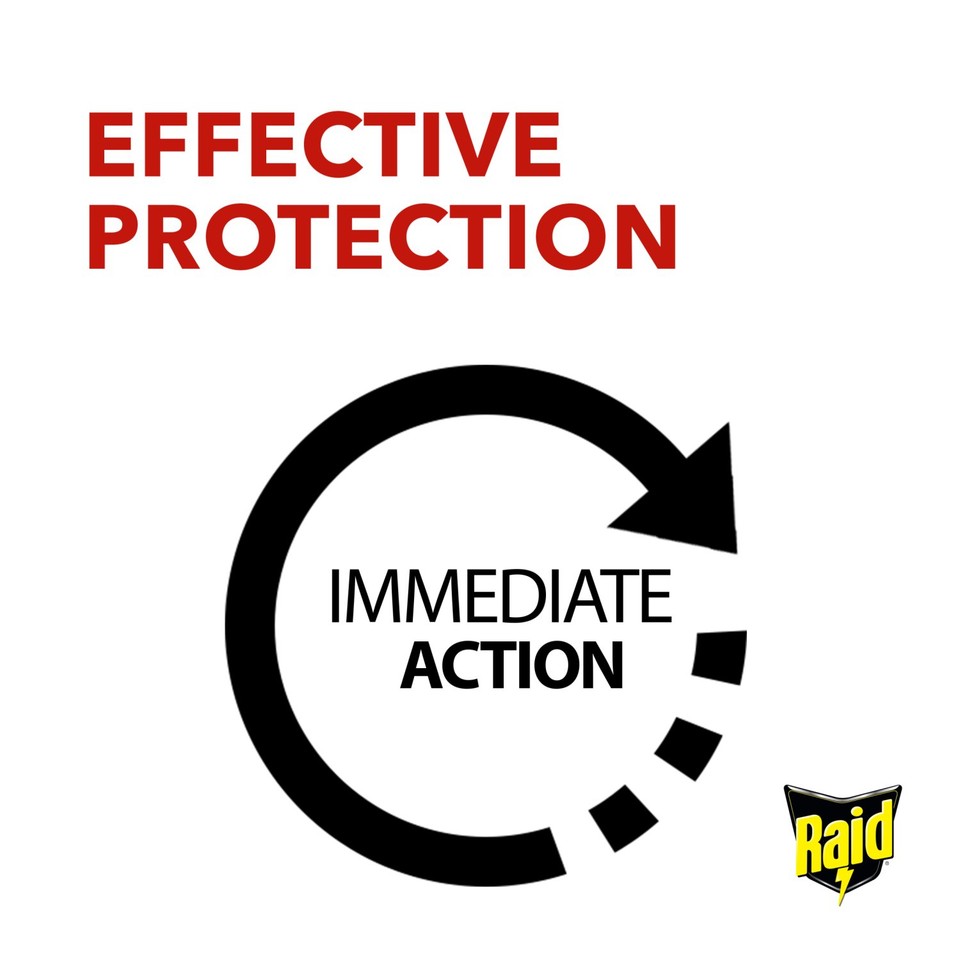 Raid Protector Fly Wasp & Mosquito Killer - Morrisons Online Groceries & Offers