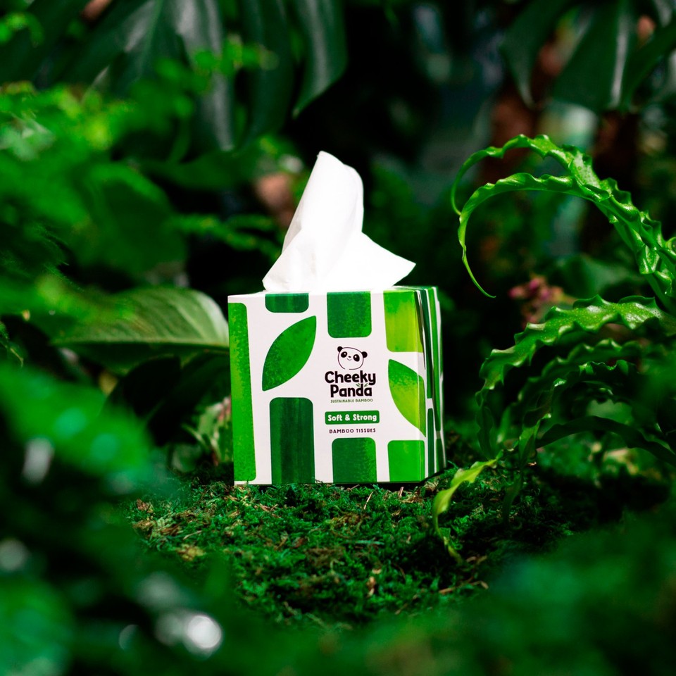 Cheeky Panda Classic Bamboo Cube Tissues (56 Tissues) - Morrisons ...