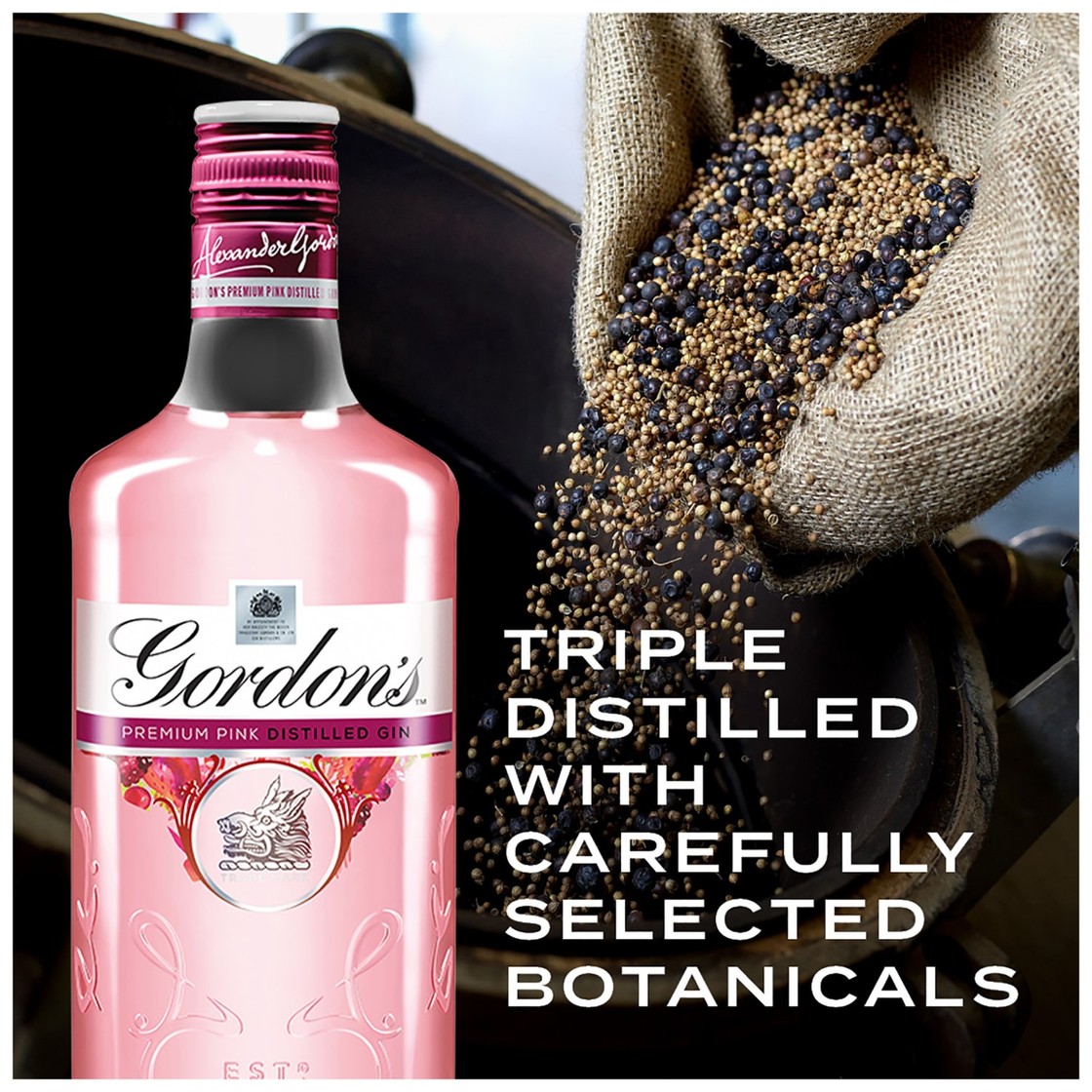 Gordon's Premium Pink Distilled Flavoured Gin - Morrisons Online ...