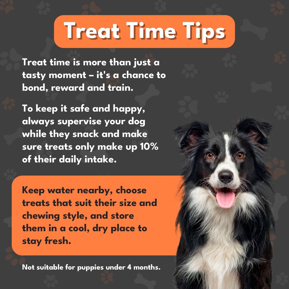 Pet Munchies Beef Liver Sticks Complementary Pet Food for Dogs 90g ...