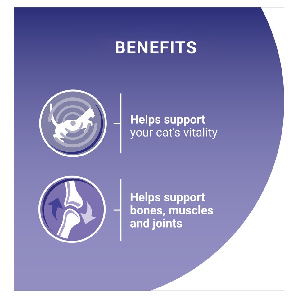 Purina One Mini Fillets Chicken And Beef Wet Cat Food - Morrisons ...