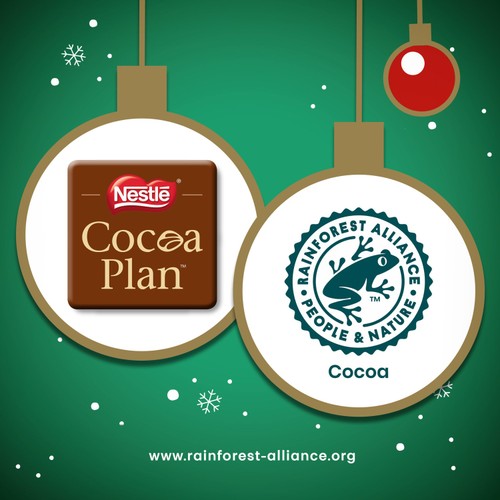 After Eight Mint Collection Box - Morrisons Online Groceries & Offers