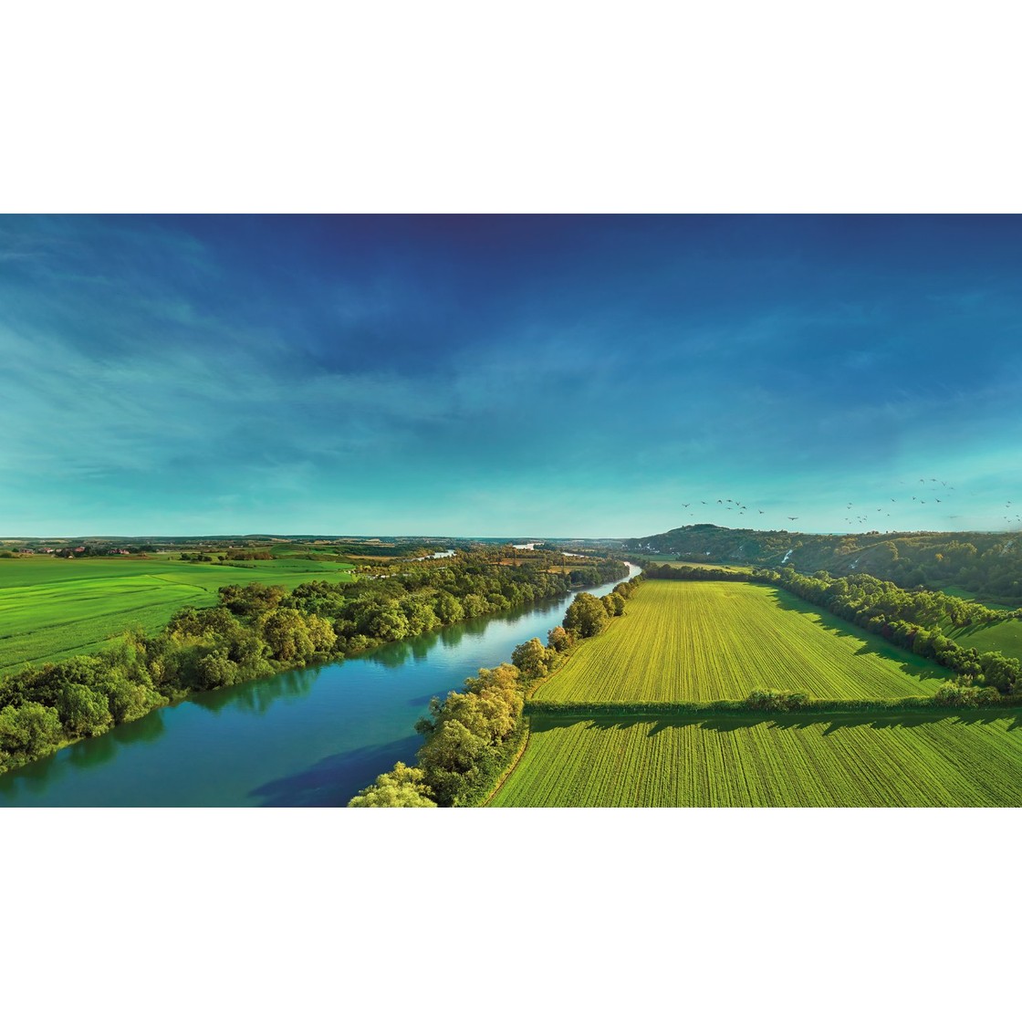 Carlsberg Export Lager Beer Cans - Morrisons Online Groceries & Offers