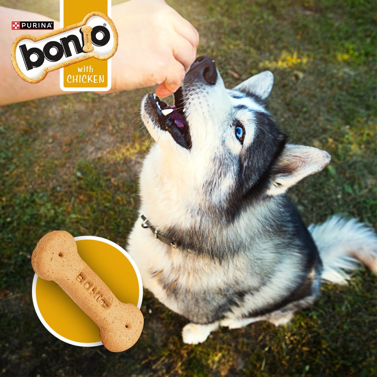 Bonio Chicken Dog Biscuits - Morrisons Online Groceries & Offers