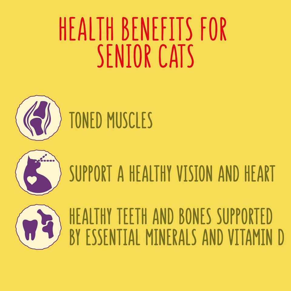 Go-Cat Senior Chicken And Turkey Dry Cat Food - Morrisons Online ...