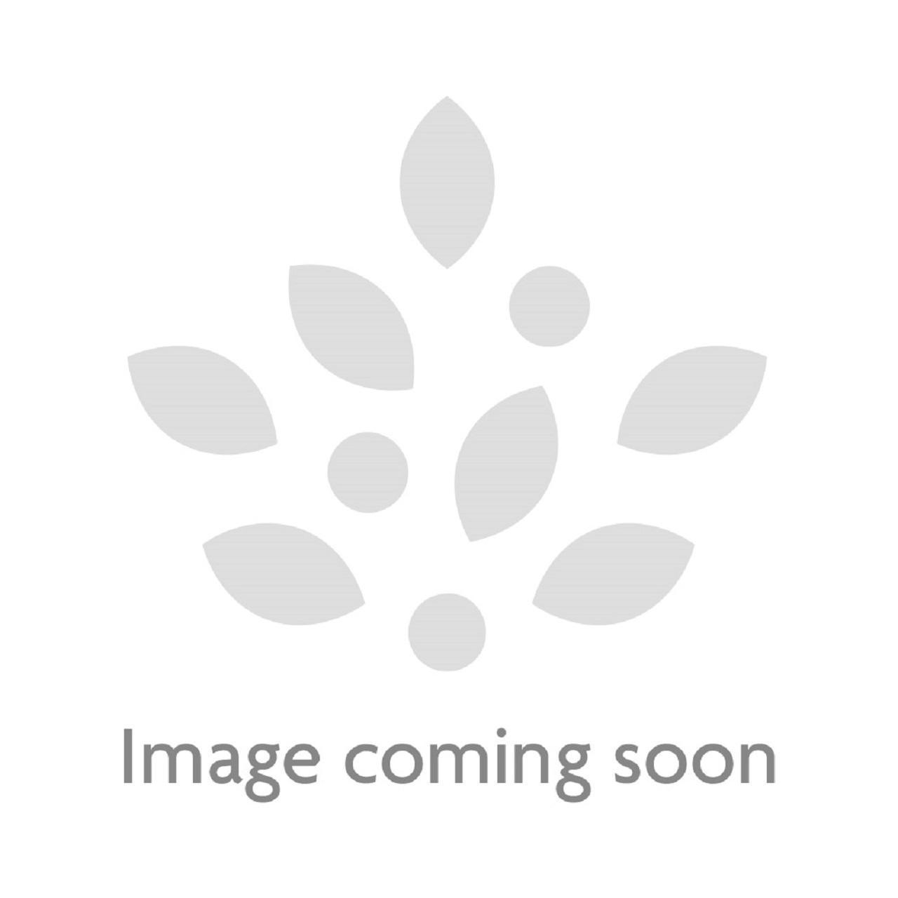 Morrisons Southern Fried Chicken Strips - Morrisons Online Groceries ...