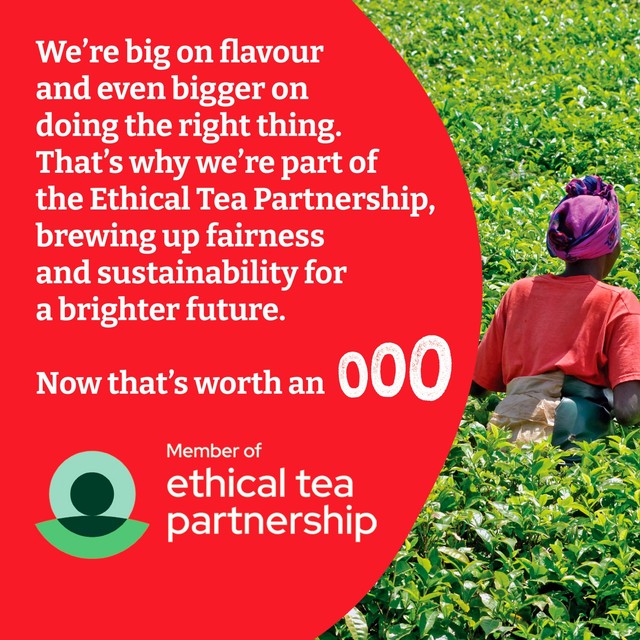 Typhoo Tea 240 Tea Bags - Morrisons Online Groceries & Offers