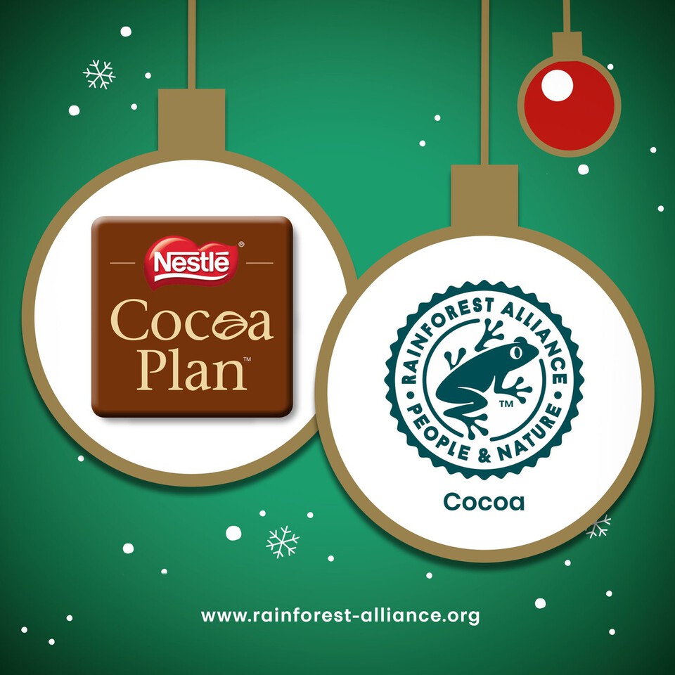 After Eight Winter Fondants Dark Mint Chocolate Bag 57g - Morrisons ...