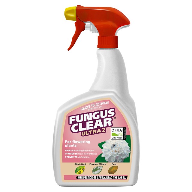 Evergreen Fungus Clear Ultra 2 800ml - Morrisons Online Groceries & Offers