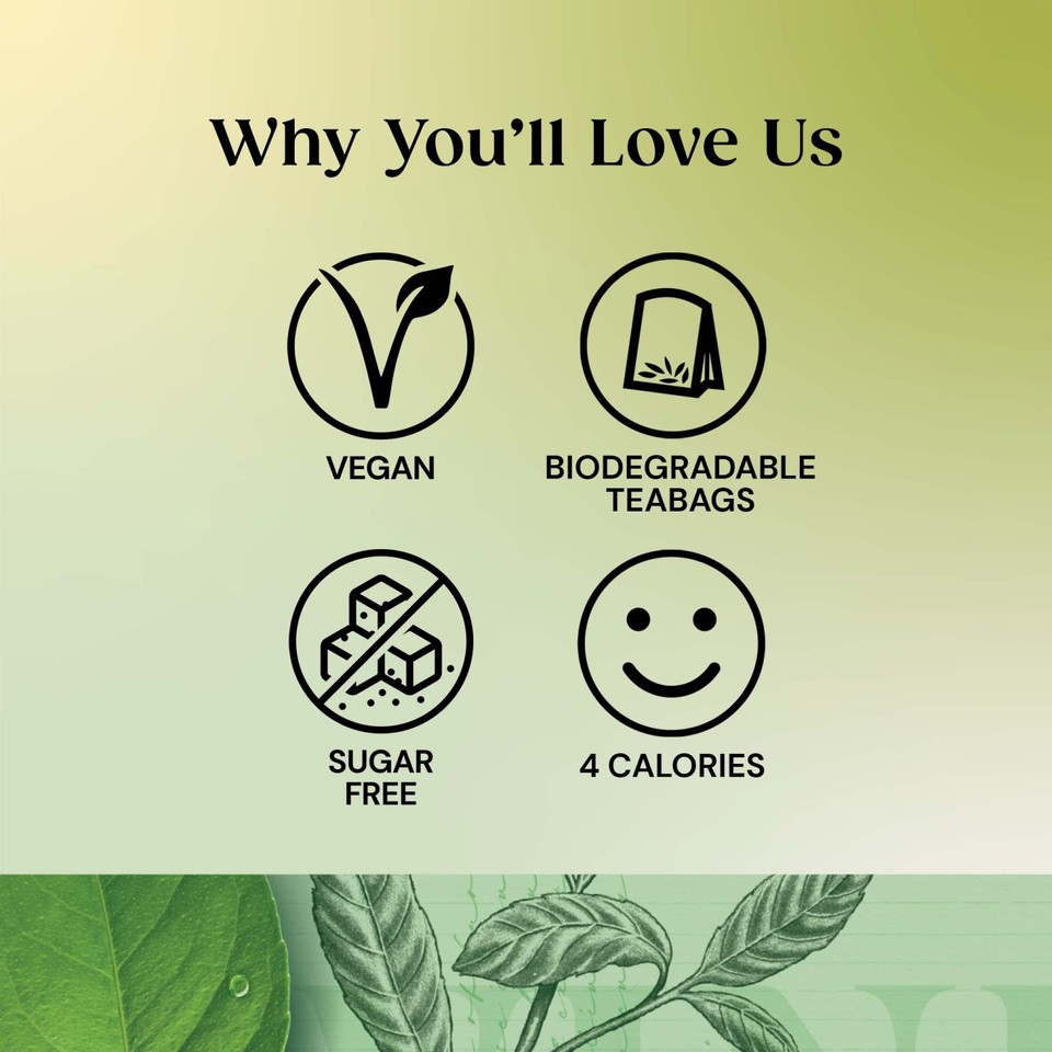 Twinings Pure Green Tea Bags 20s - Morrisons Online Groceries & Offers