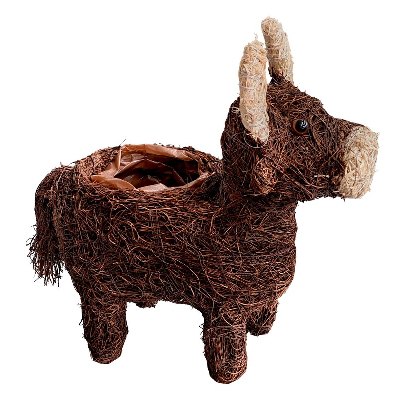 Nutmeg Highland Cow Planter - Morrisons Online Groceries & Offers