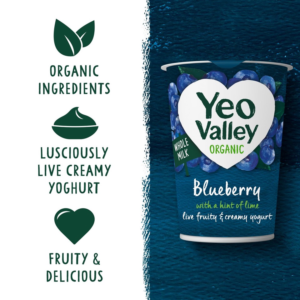 Yeo Valley Organic Blueberry With A Hint Of Lime - Morrisons Online ...