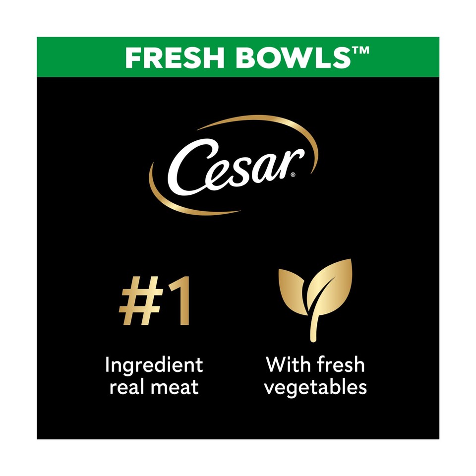 CESAR Fresh Bowl Adult Wet Dog Food with Chicken & Vegetables in Gravy ...