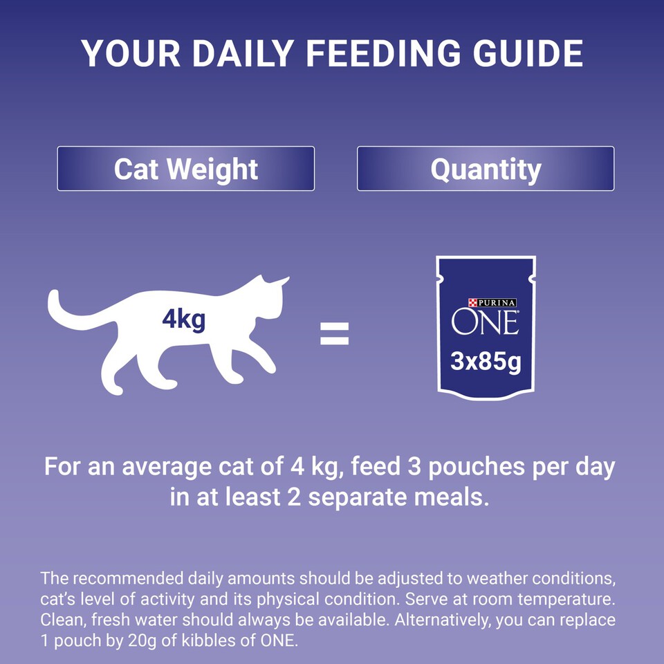 Purina One Mini Fillets Chicken And Beef Wet Cat Food - Morrisons ...