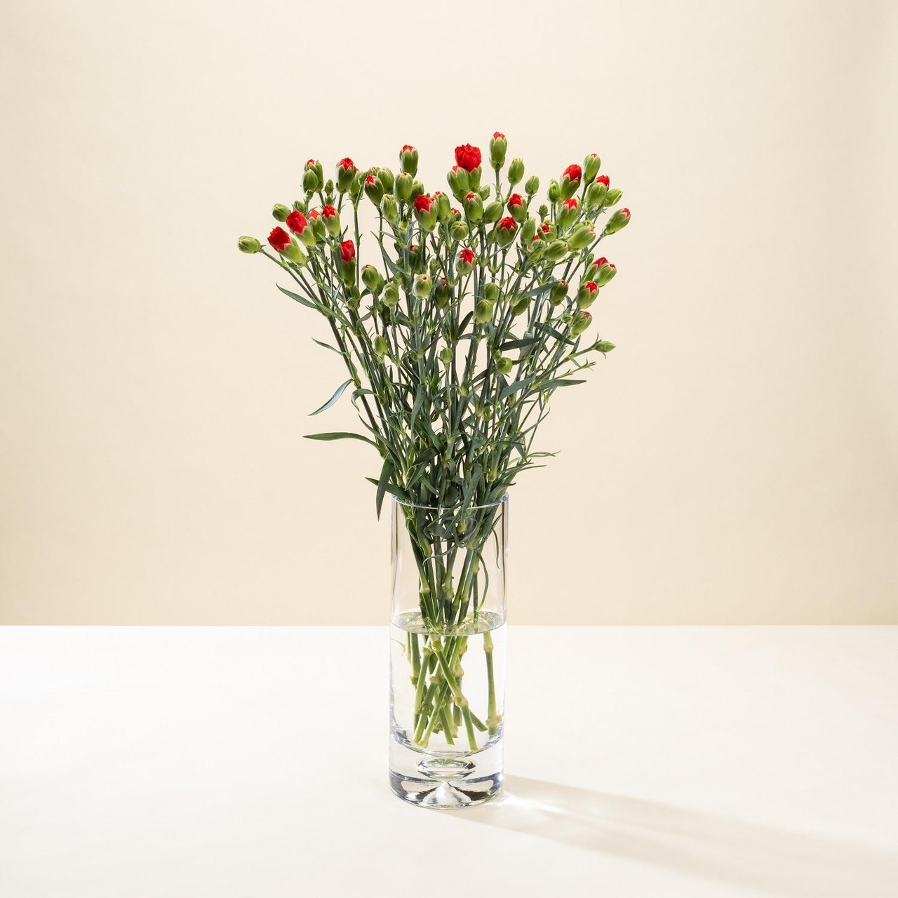 Morrisons Spray Carnation Flowers Bouquet - Morrisons Online Groceries ...