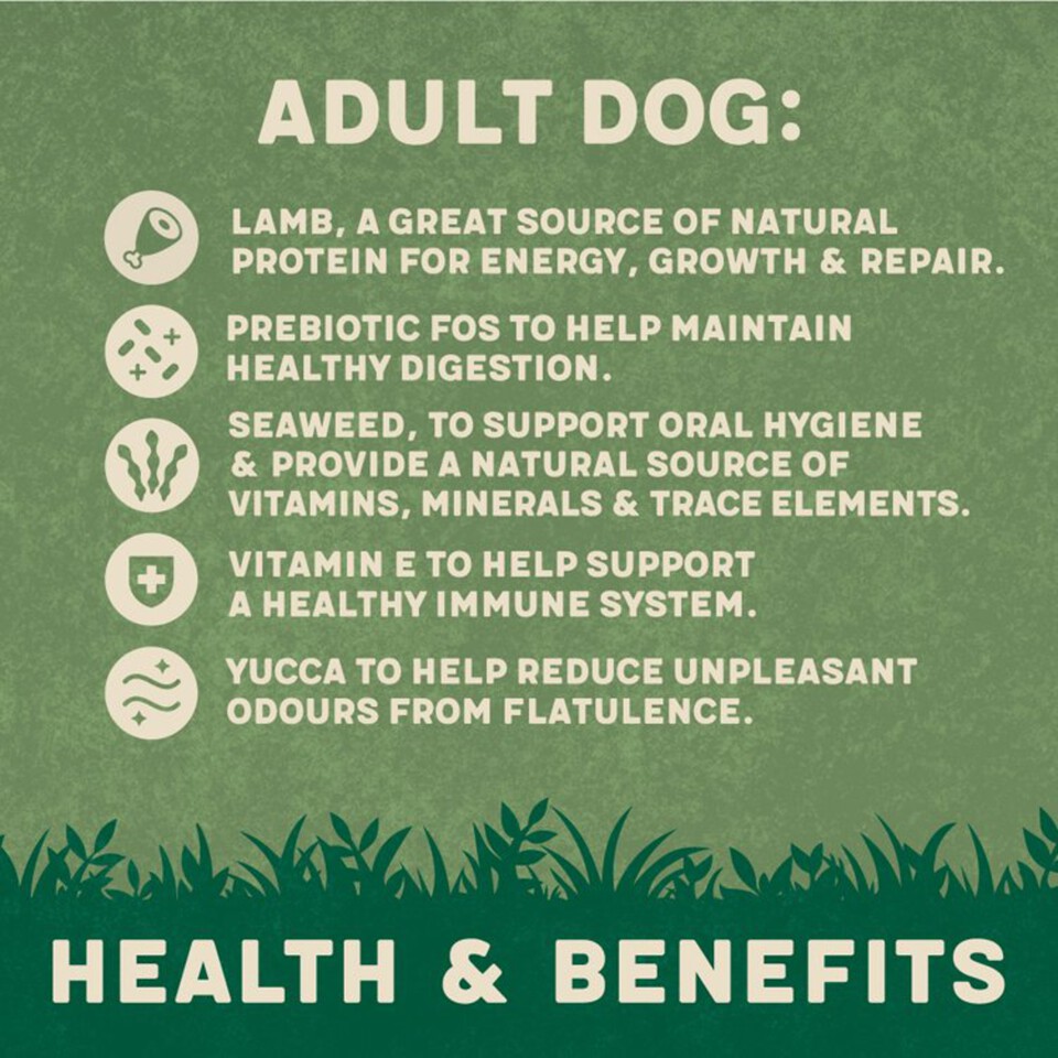 Harringtons Dry Adult Dog Food Rich in Lamb & Rice - Morrisons Online ...