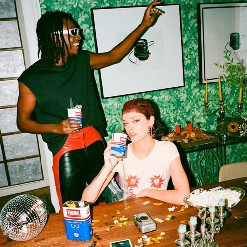 Engine Organic Italian Gin 500ml - Morrisons Online Groceries & Offers