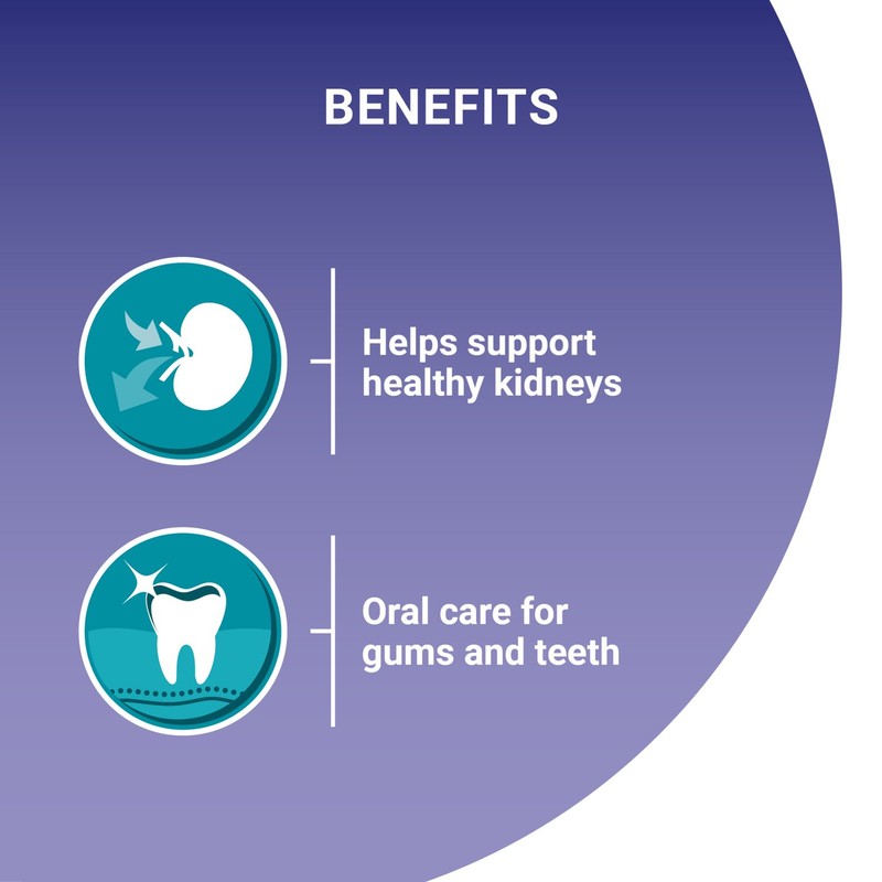 Purina One Senior 7+ Mini Fillets Chicken And Beef Wet Cat Food ...