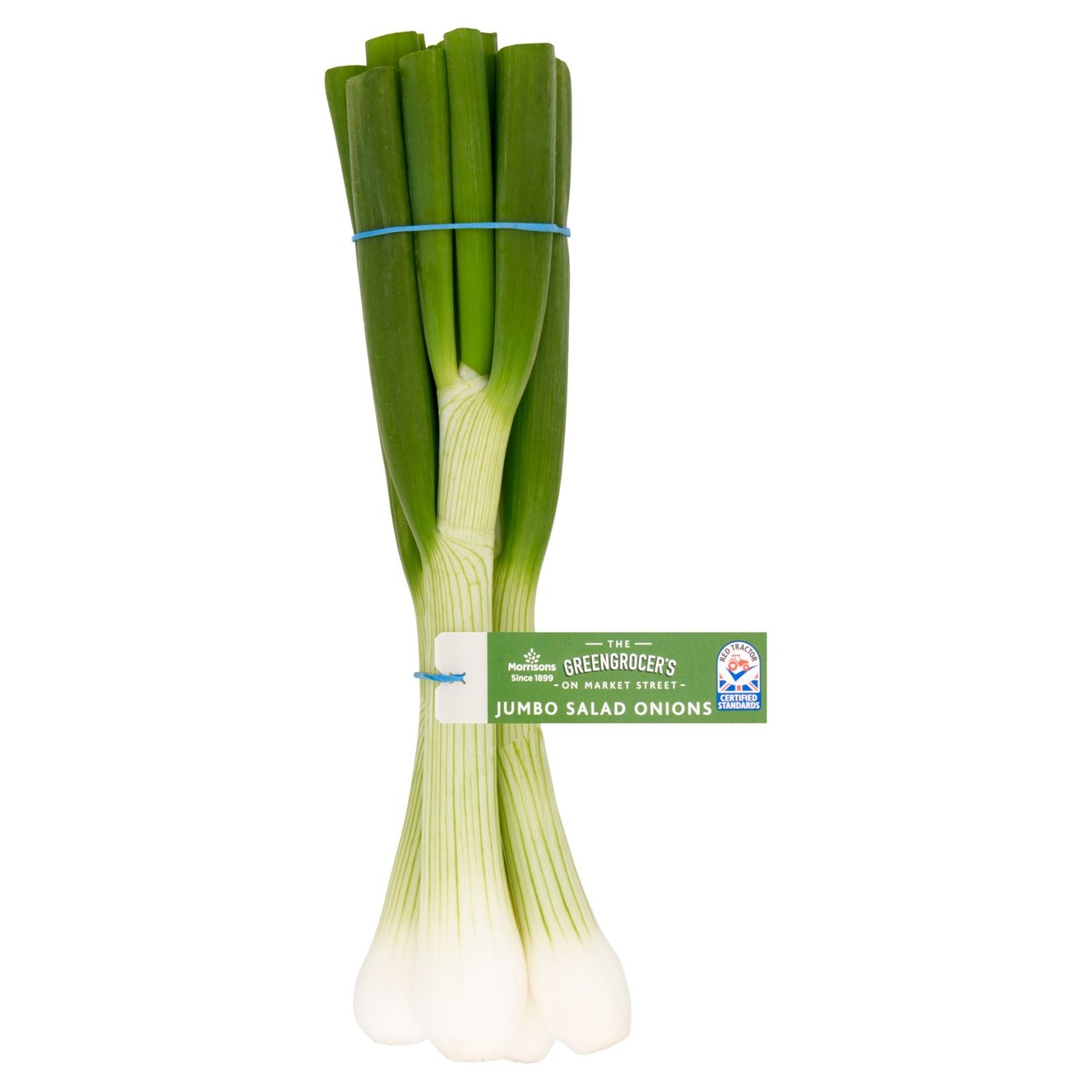 Morrisons Jumbo Salad Onions 130g - Morrisons Online Groceries & Offers