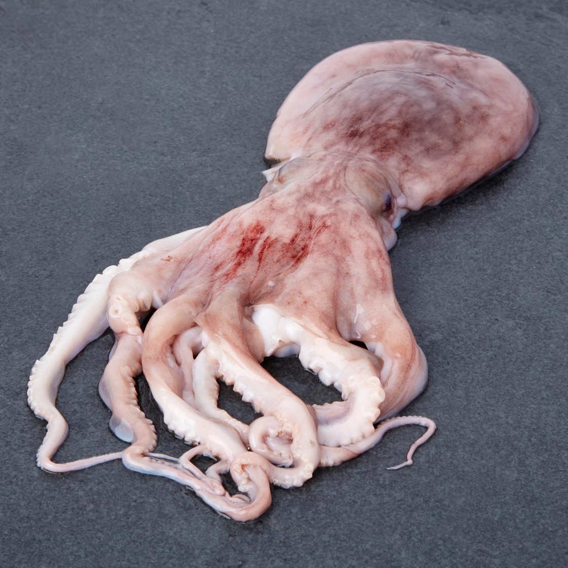 Market Street Octopus - Morrisons Online Groceries & Offers