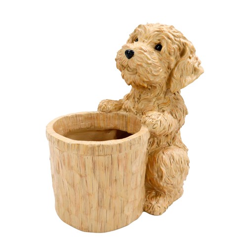 Nutmeg Cockapoo Planter - Morrisons Online Groceries & Offers