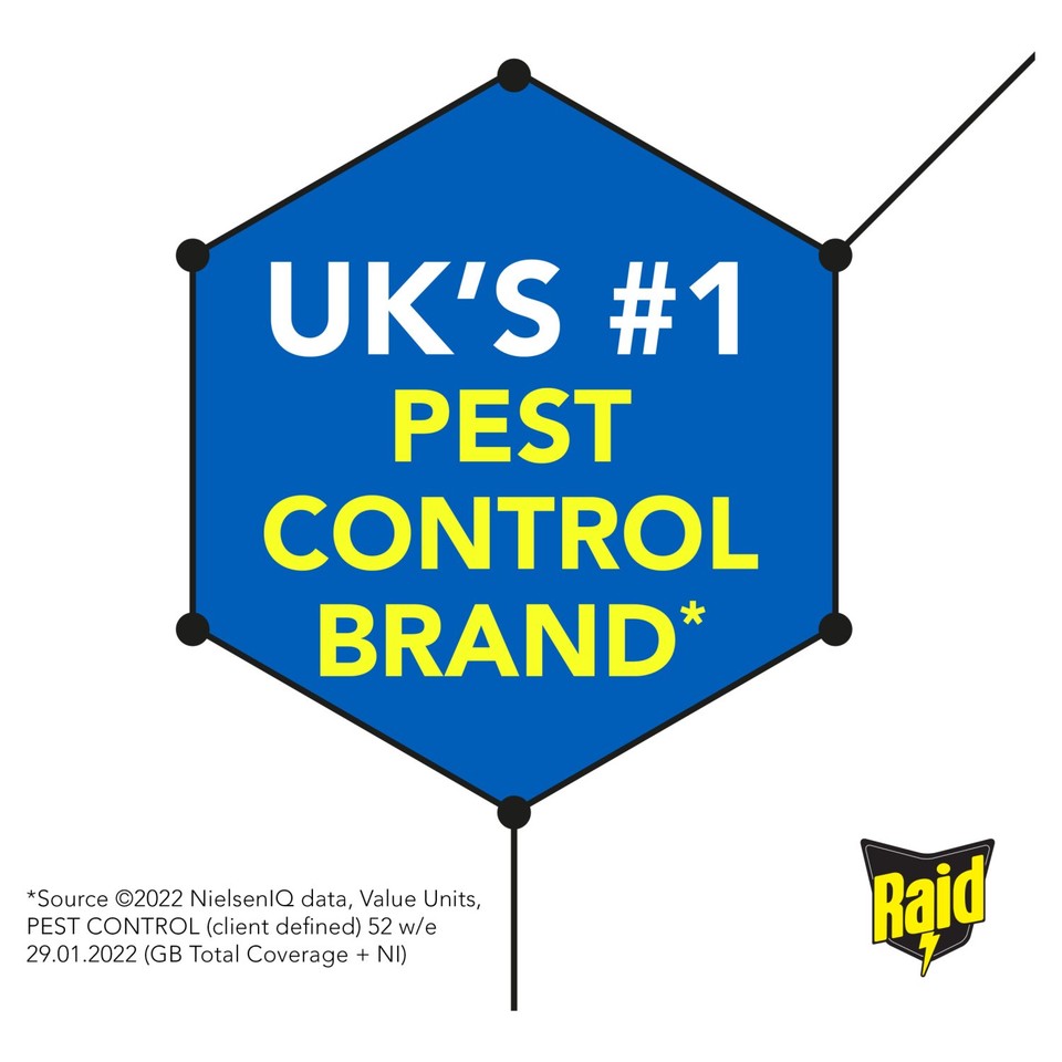 Raid Protector Fly Wasp & Mosquito Killer - Morrisons Online Groceries ...