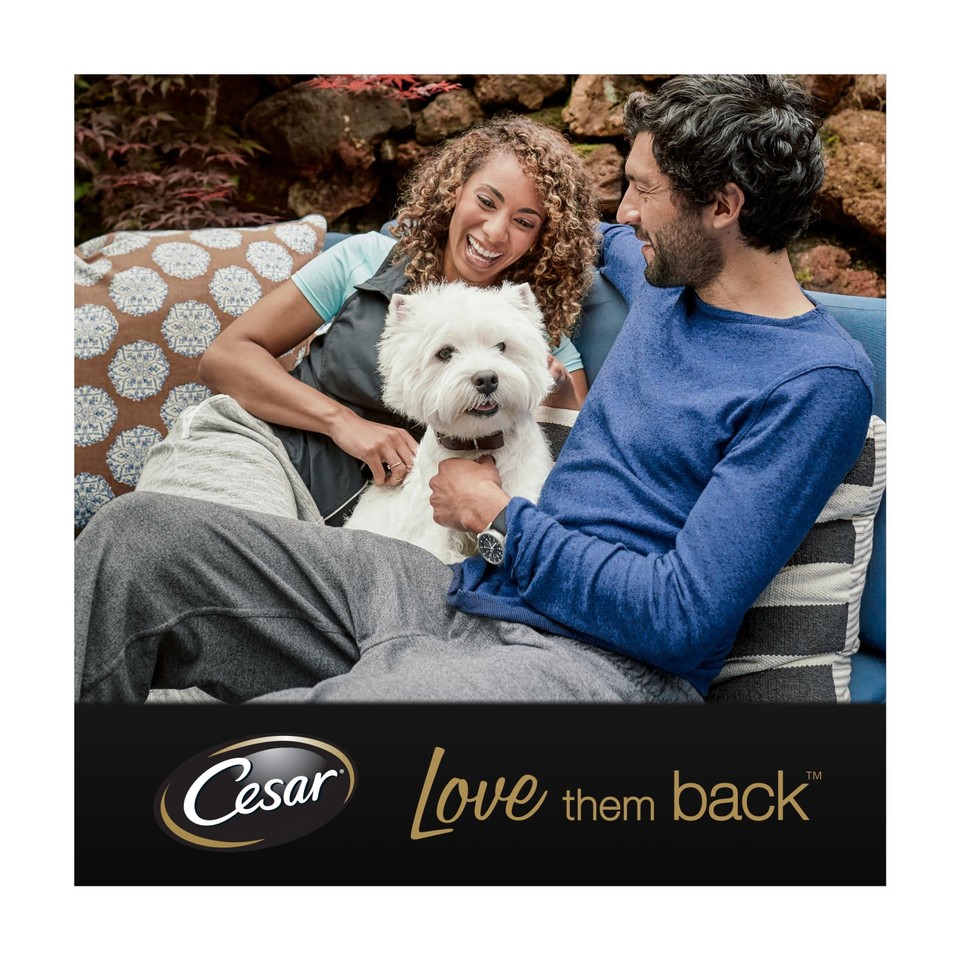 Cesar Classic Terrine Wet Dog Food Tray Chicken & Turkey in Loaf 150g ...