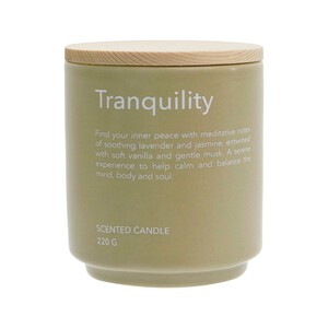 Nutmeg Home Tranquility 1 Wick Ceramic Candle Wooden Lid - Morrisons ...