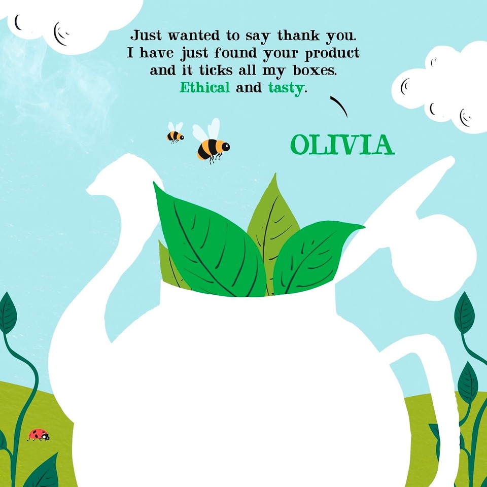 Clipper Organic Pure Green Tea 80 Unbleached Bags - Morrisons Online ...