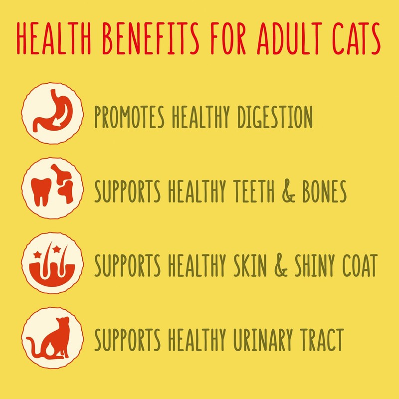 Go-Cat Indoor Chicken & Veg Dry Cat Food - Morrisons Online Groceries ...