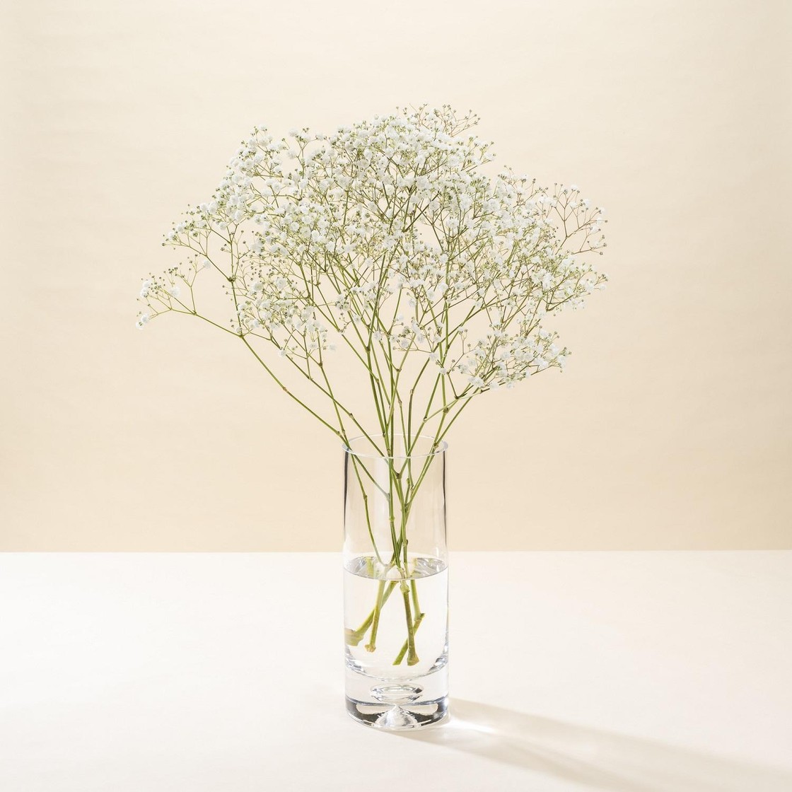 Morrisons Gypsophila Flowers Bouquet - Morrisons Online Groceries & Offers