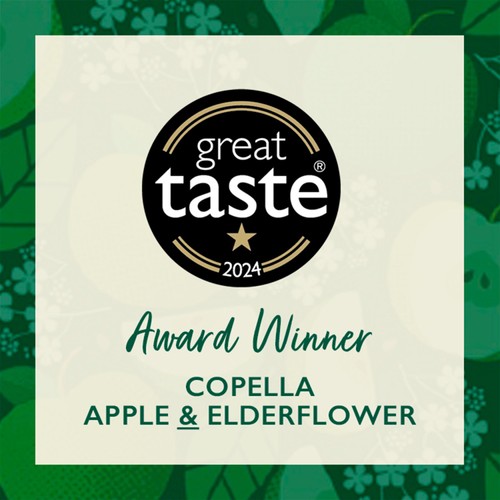 Copella Apple & Elderflower Fruit Juice 900ml - Morrisons Online ...