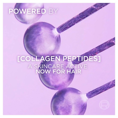 L'Oreal Elvive Better Collagen Lifter Conditioner - Morrisons Online ...