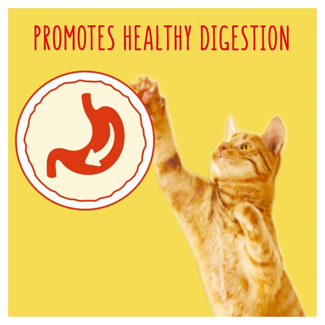 Go-Cat Chicken & Duck Dry Cat Food - Morrisons Online Groceries & Offers