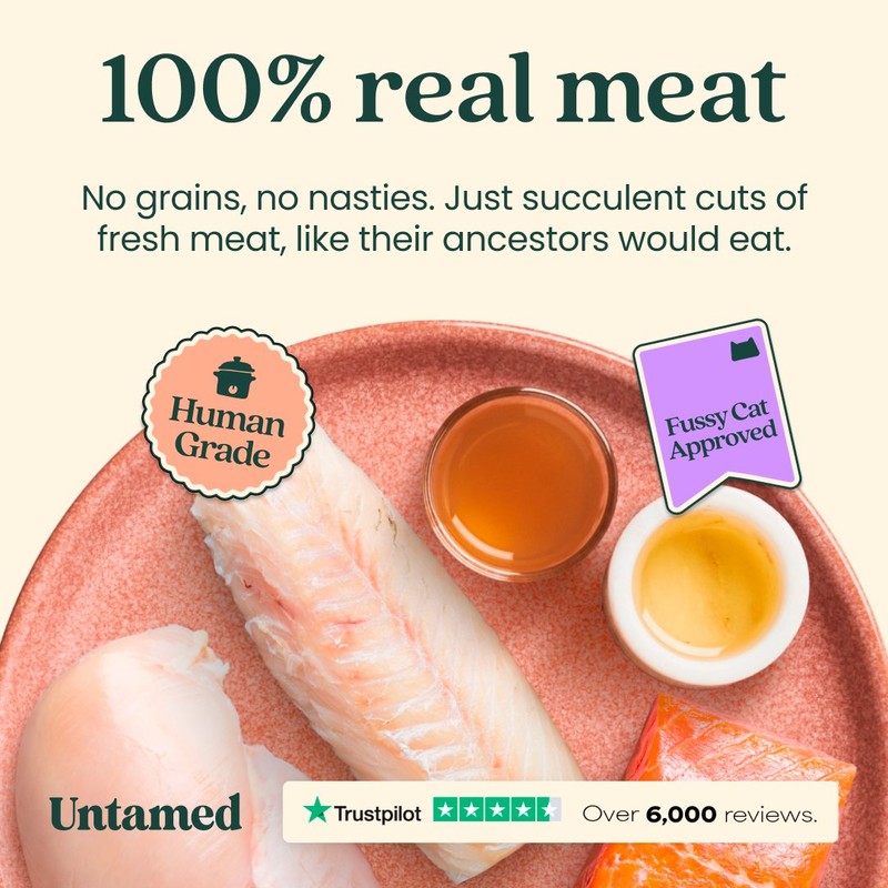 Untamed Chicken Breast In Jelly Cat Food - Morrisons Online Groceries ...