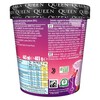 Ben & Jerrys Non-Dairy Vegan Bohemian Raspberry Ice Cream Tub 465ml ...