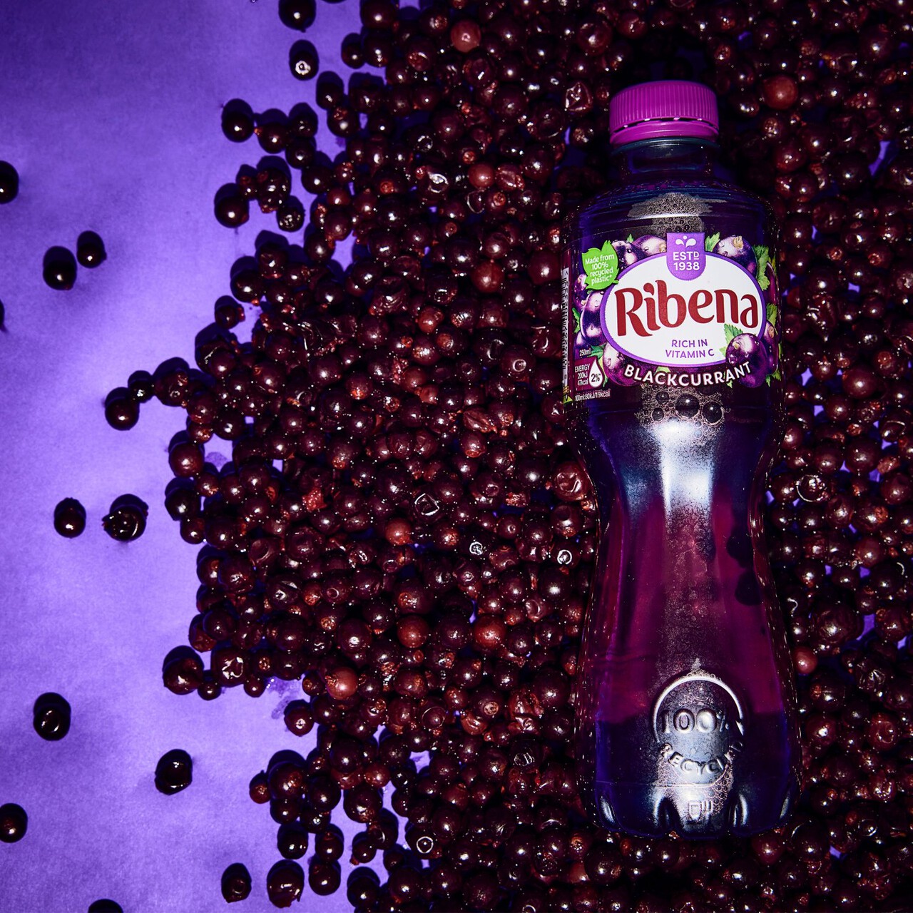 Ribena Blackcurrant Juice Drink - Morrisons Online Groceries & Offers