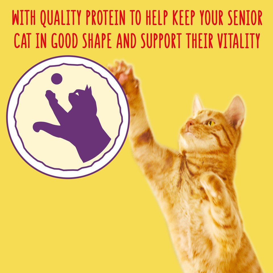 Go-Cat Senior Chicken And Turkey Dry Cat Food - Morrisons Online ...