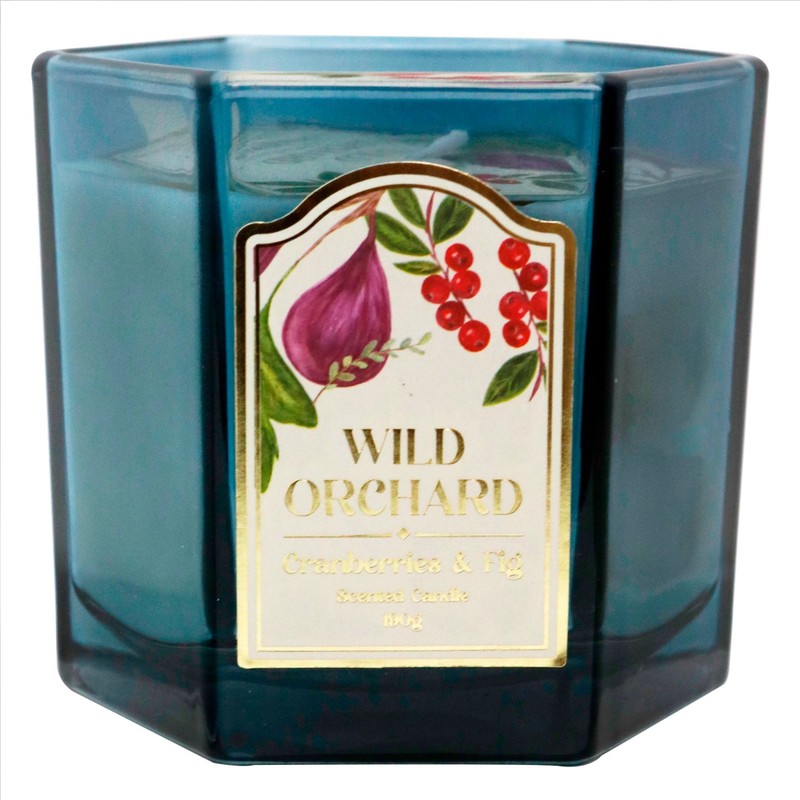 Nutmeg Home Wild Orchard Cranberries and Fig Hexagon Candle - Morrisons ...
