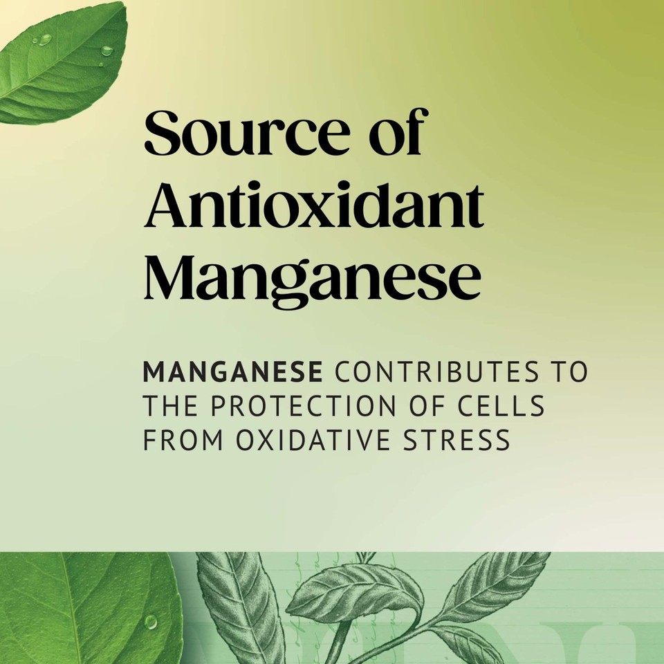 Twinings Pure Green Tea Bags 20s - Morrisons Online Groceries & Offers