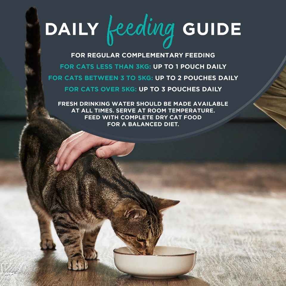 Encore Cat Pouch Finest Selection In Broth - Morrisons Online Groceries ...