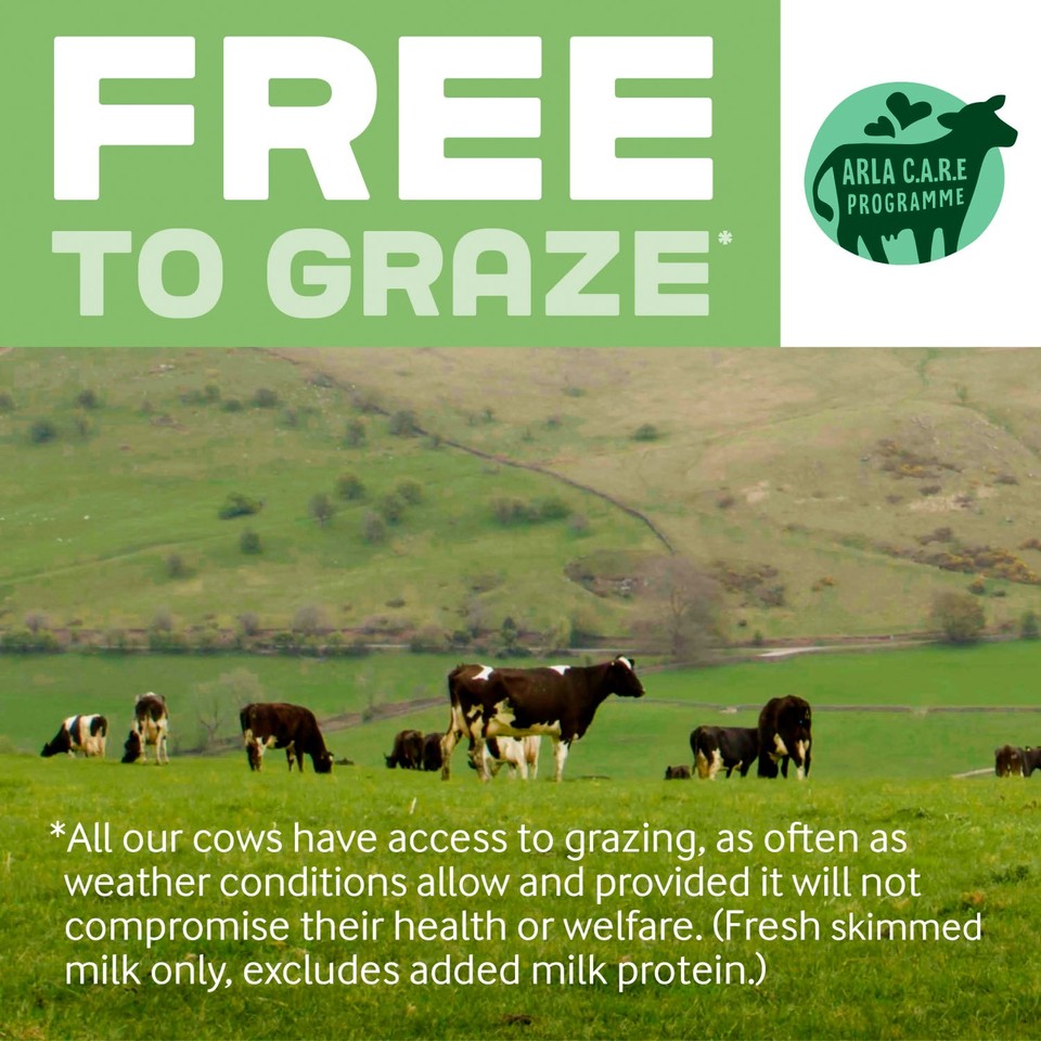 Arla BOB Skimmed Milk 1L Tastes like Semi Skimmed - Morrisons Online ...