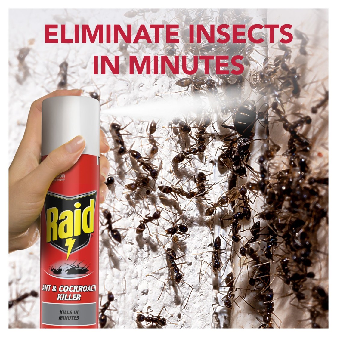 Raid Ant & Cockroach Killer - Morrisons Online Groceries & Offers