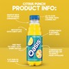 Oasis Citrus Punch - Morrisons Online Groceries & Offers
