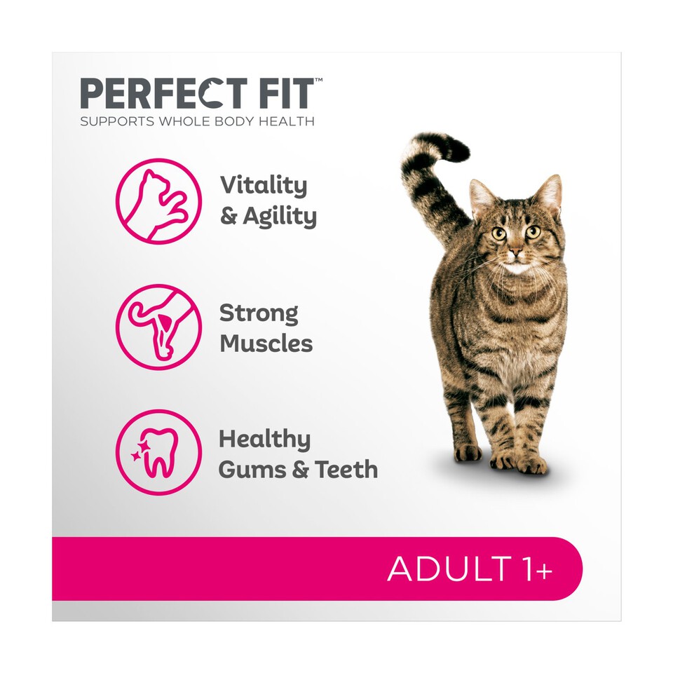 Perfect Fit Advanced Nutrition Adult Complete Dry Cat Food Salmon ...