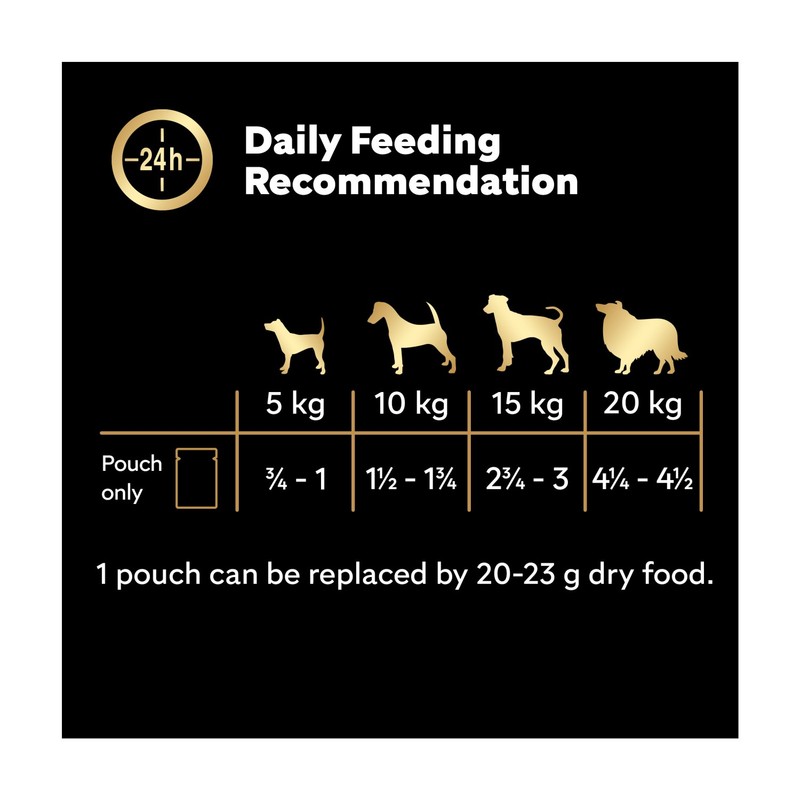 CESAR Selection Adult Wet Dog Food Mixed Selection in Sauce 40 x 100g ...