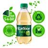 Radnor Fizz Apple - Morrisons Online Groceries & Offers