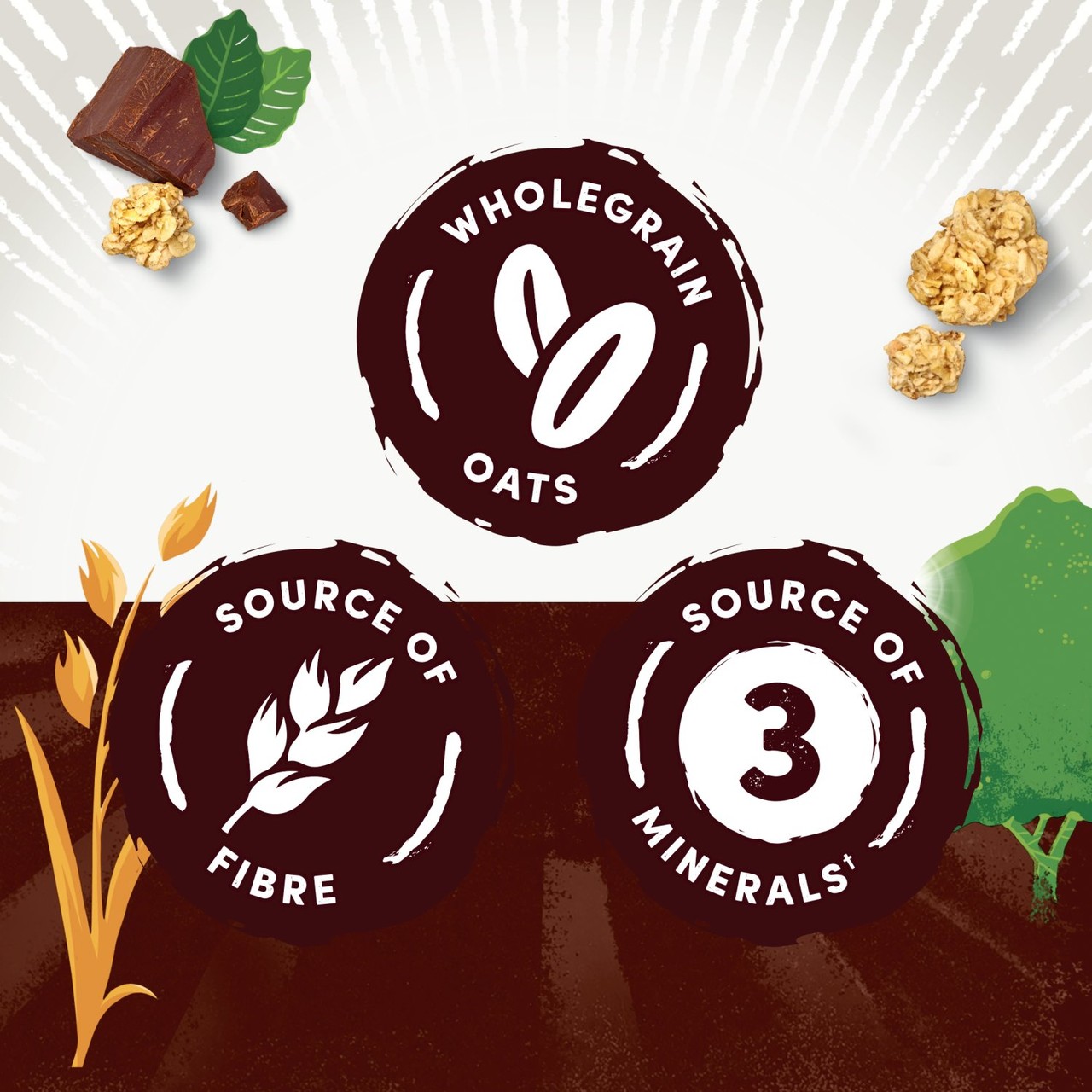Jordans Country Crisp Dark Chocolate Breakfast Cereal 450g - Morrisons ...
